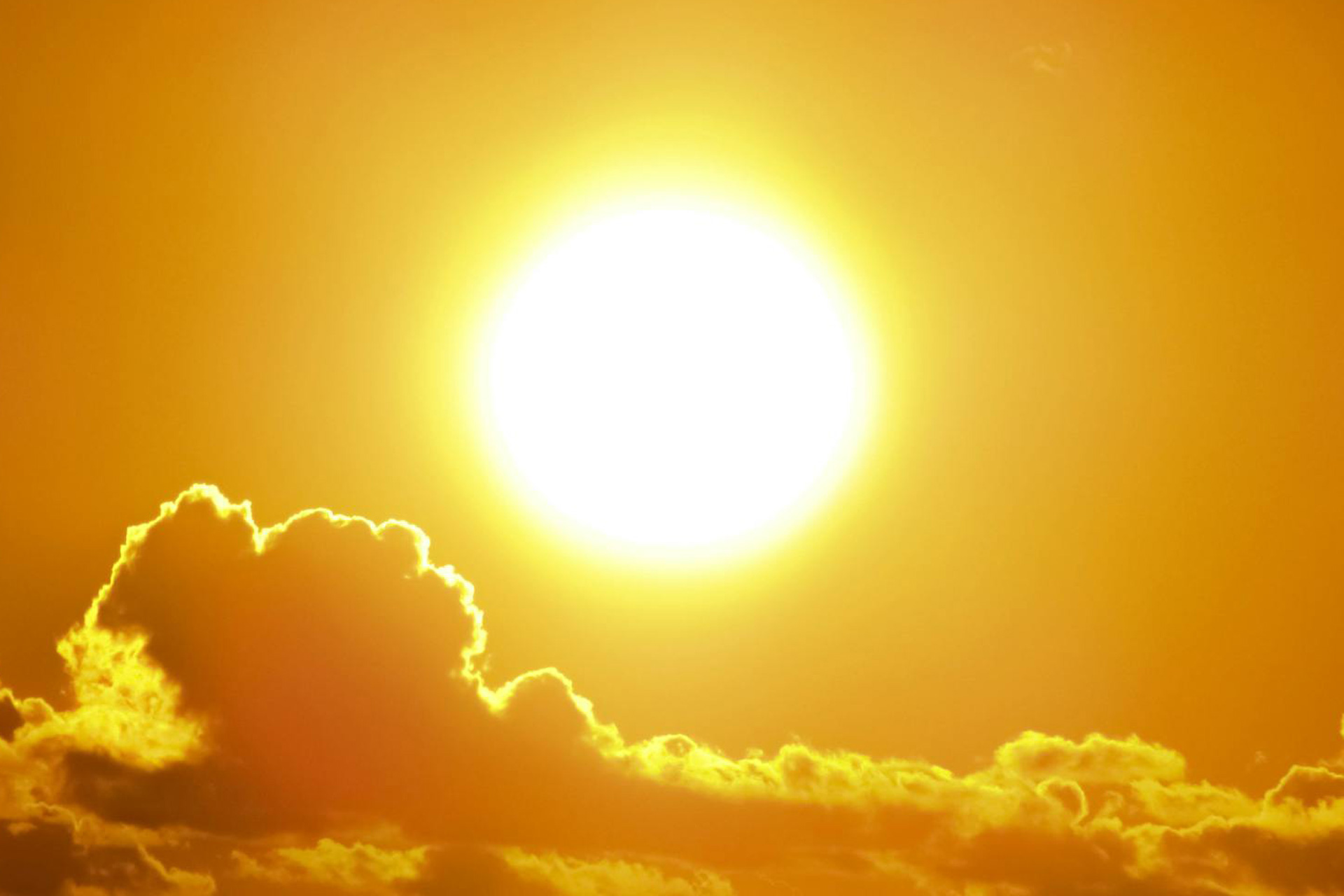 Europa zählt im Jahr 2023 mehr als 47.000 Hitzetote